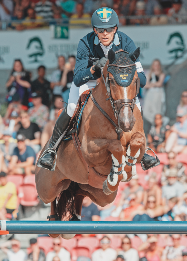 King Edward – A family affair – Cavalli & Cavalieri